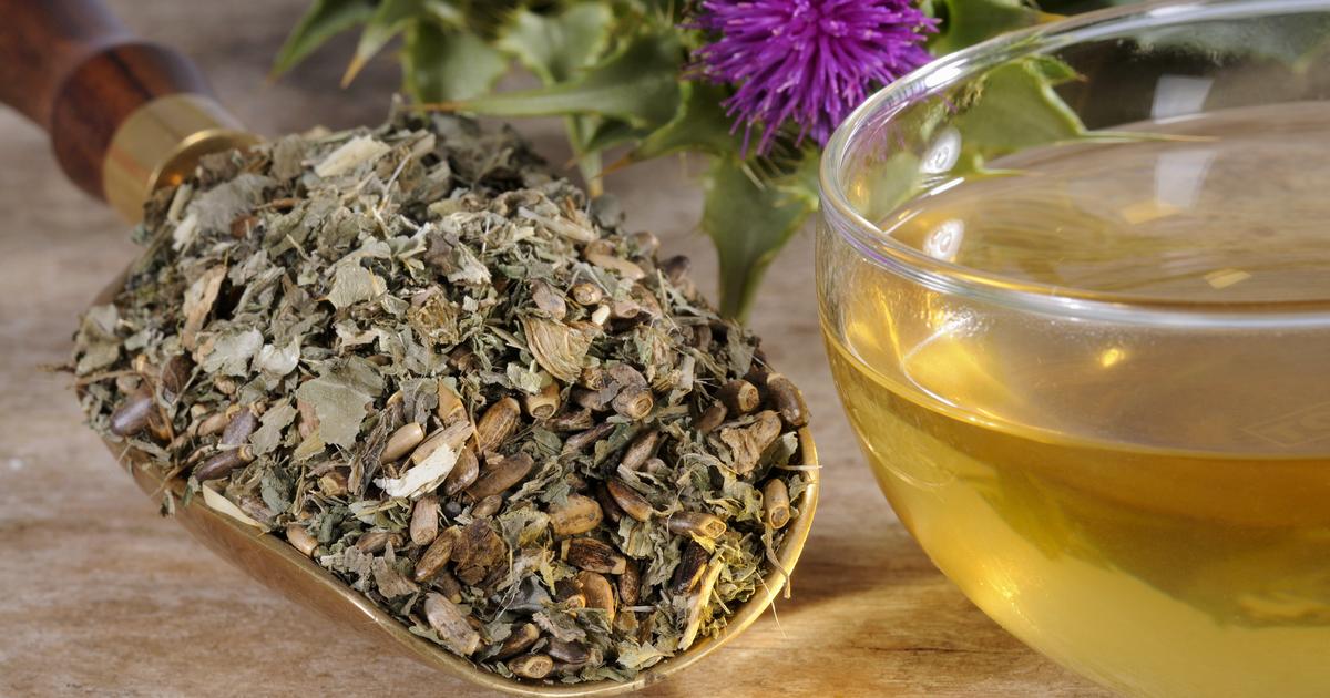 Sikavica: Čuvarica vaše jetre!