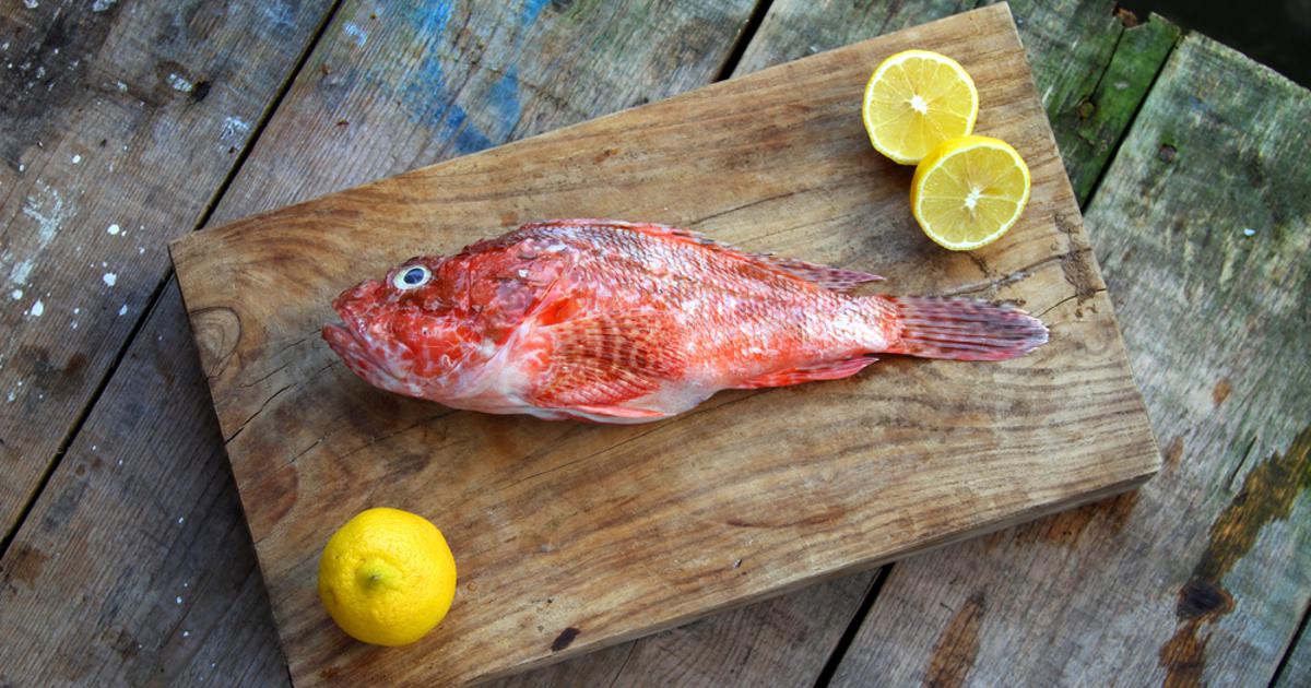 Riba petkom: Sočna škarpina s pireom i mini rajčicama