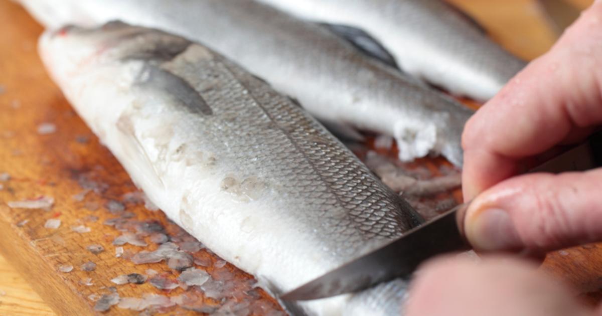 Video: Kako filetirati ribu