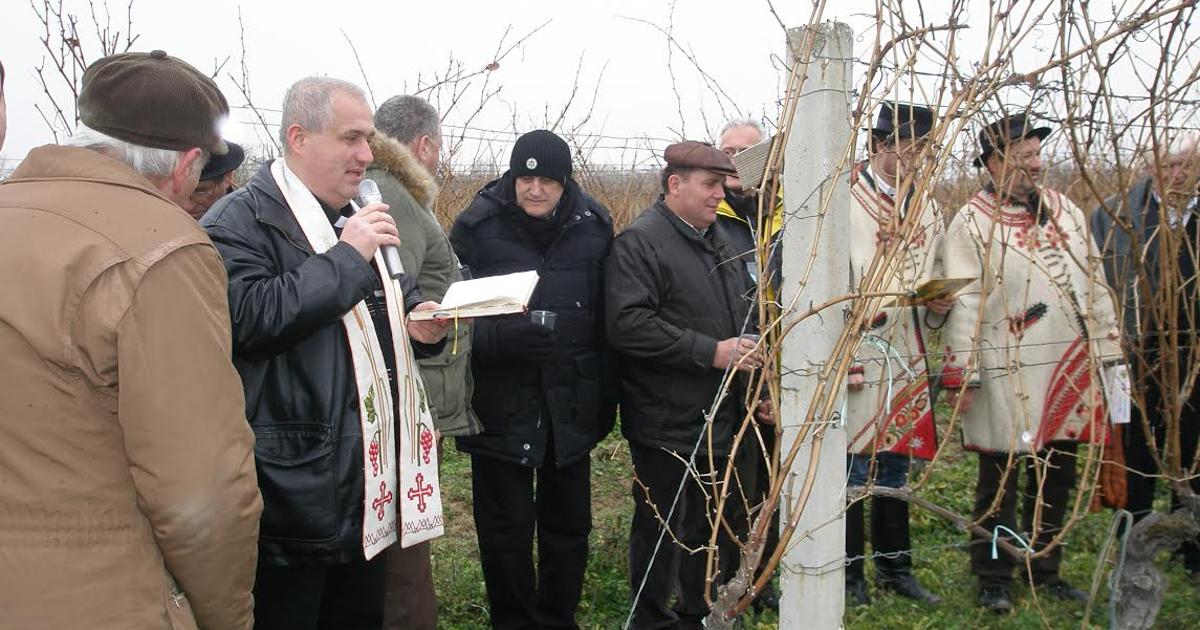 Sveti Vinko - svi slavimo praznik vina!
