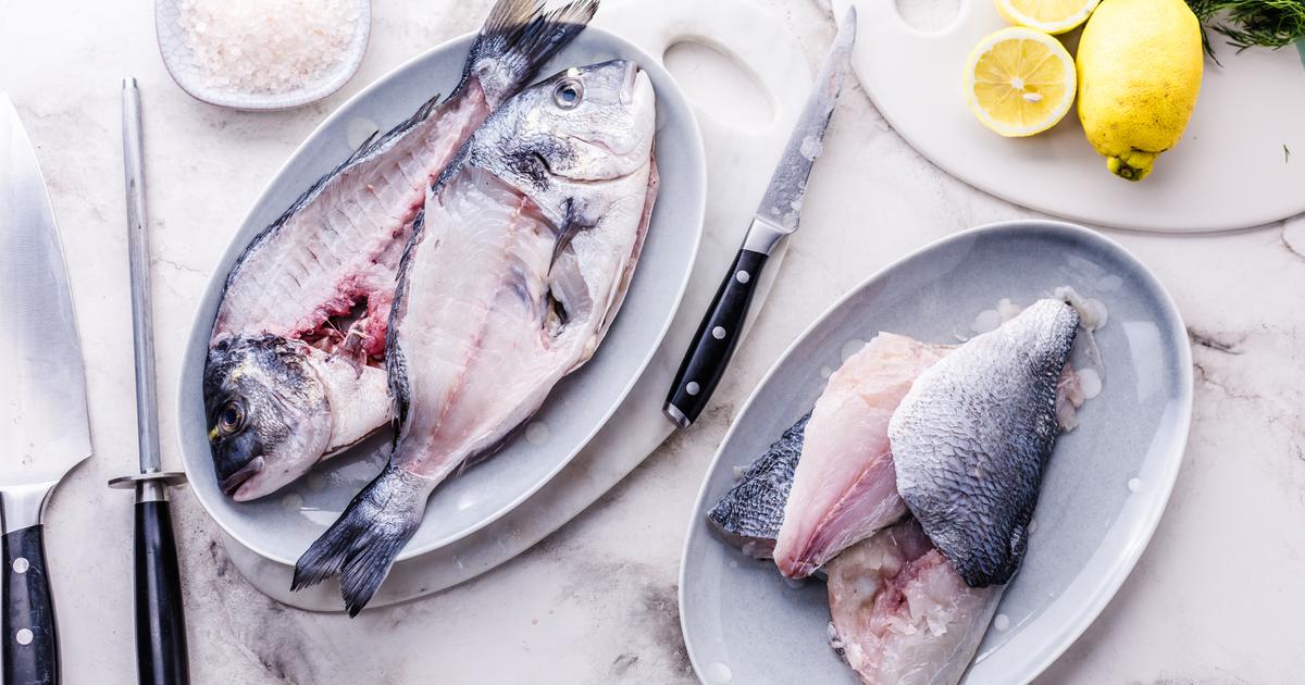 Mozaik od ribe – elegantno hladno (pred)jelo