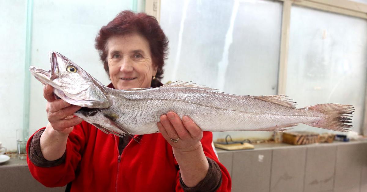 Zašto je oslić pametniji izbor od bakalara?