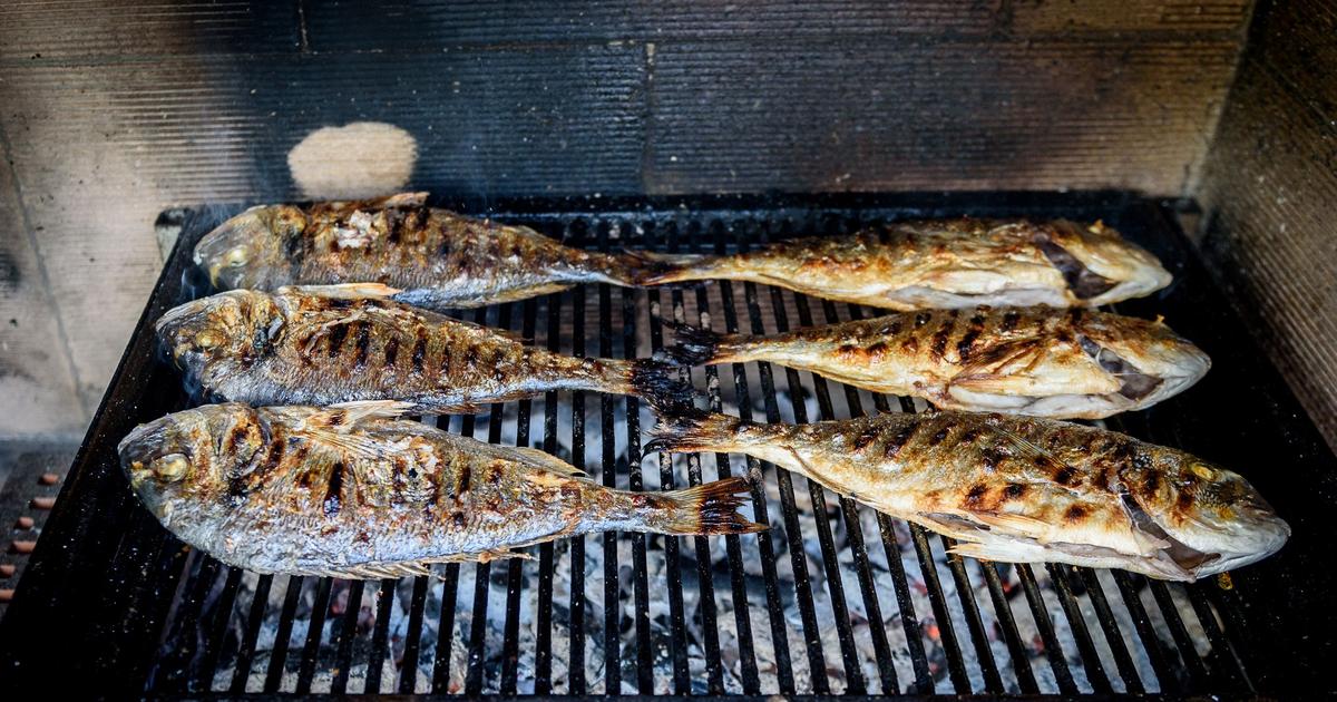 Gradele: Tradicija koja čuva izvorni oblik ribe